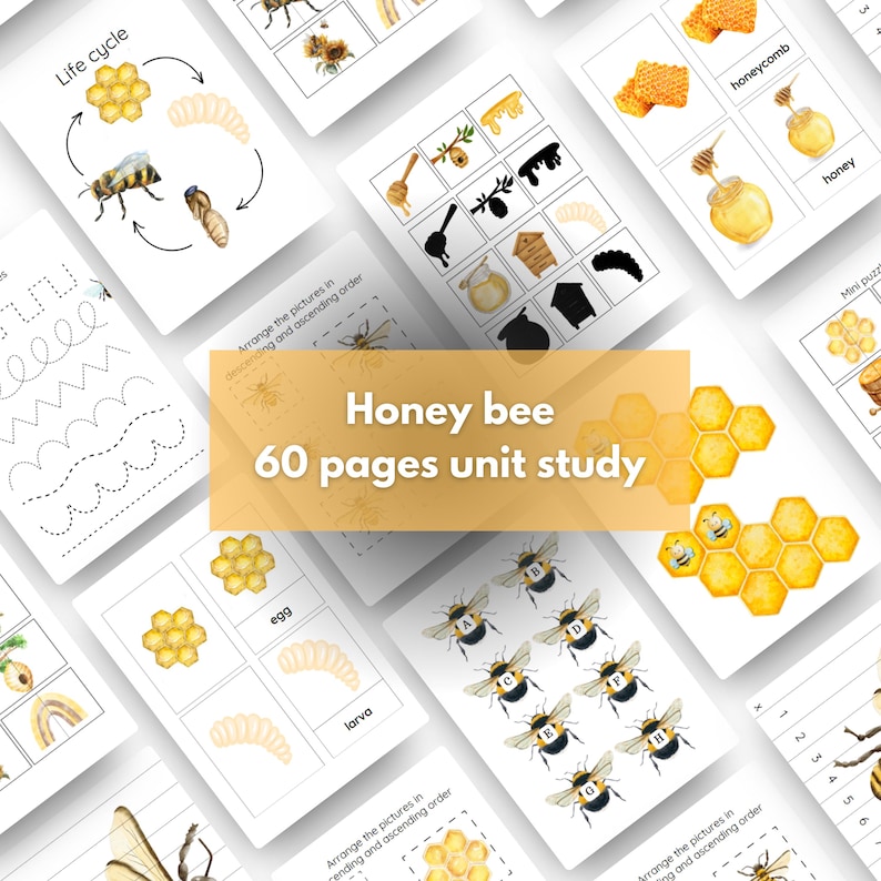Honey Bee Montessori Unit Study for Kids | 60 Pages of Printable ...