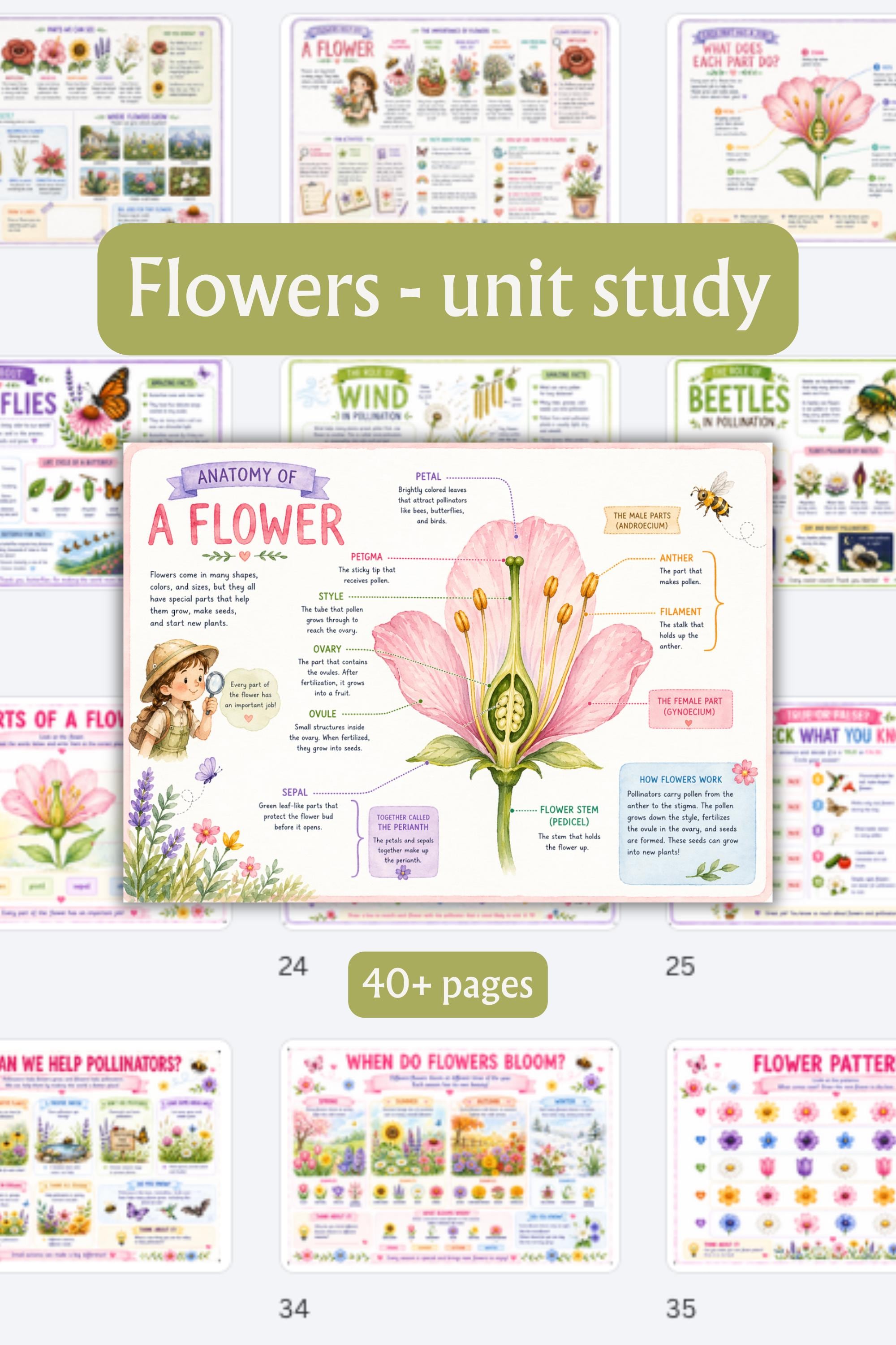 Flower Unit Study Printables | Nature Learning, Pollinators, Plants ...