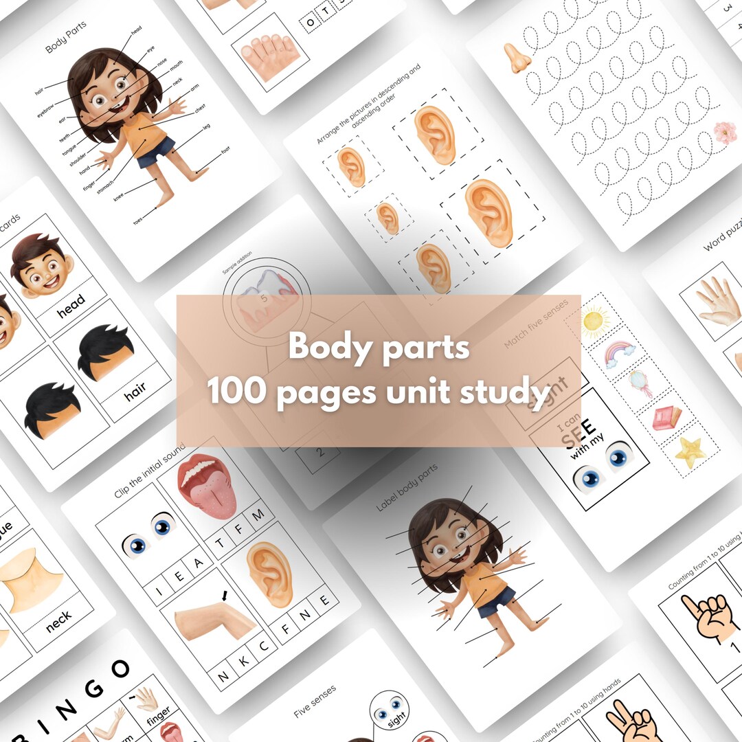 Body Parts Unit Study | 100 Pages of Printable Activities | 3-part ...