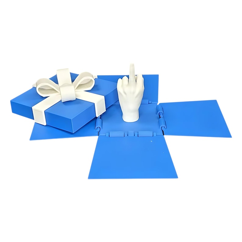 Prank Surprise Gift Box With Pop-up Middle Finger Funny Gag Gift for ...