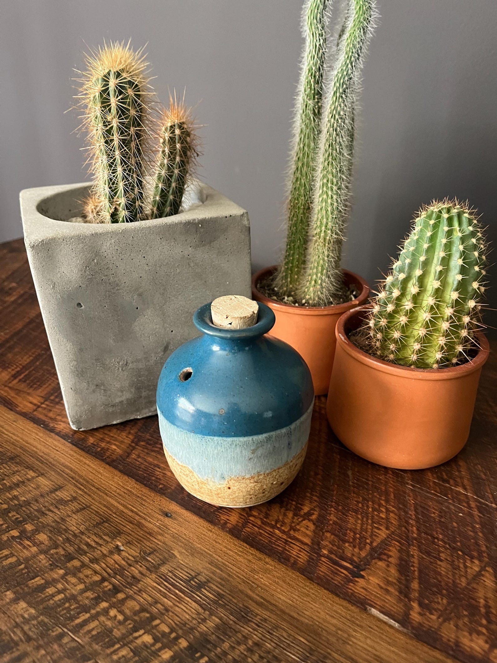 Blue Striped Stoneware Jar With Cork Top and Vent Hole - Etsy
