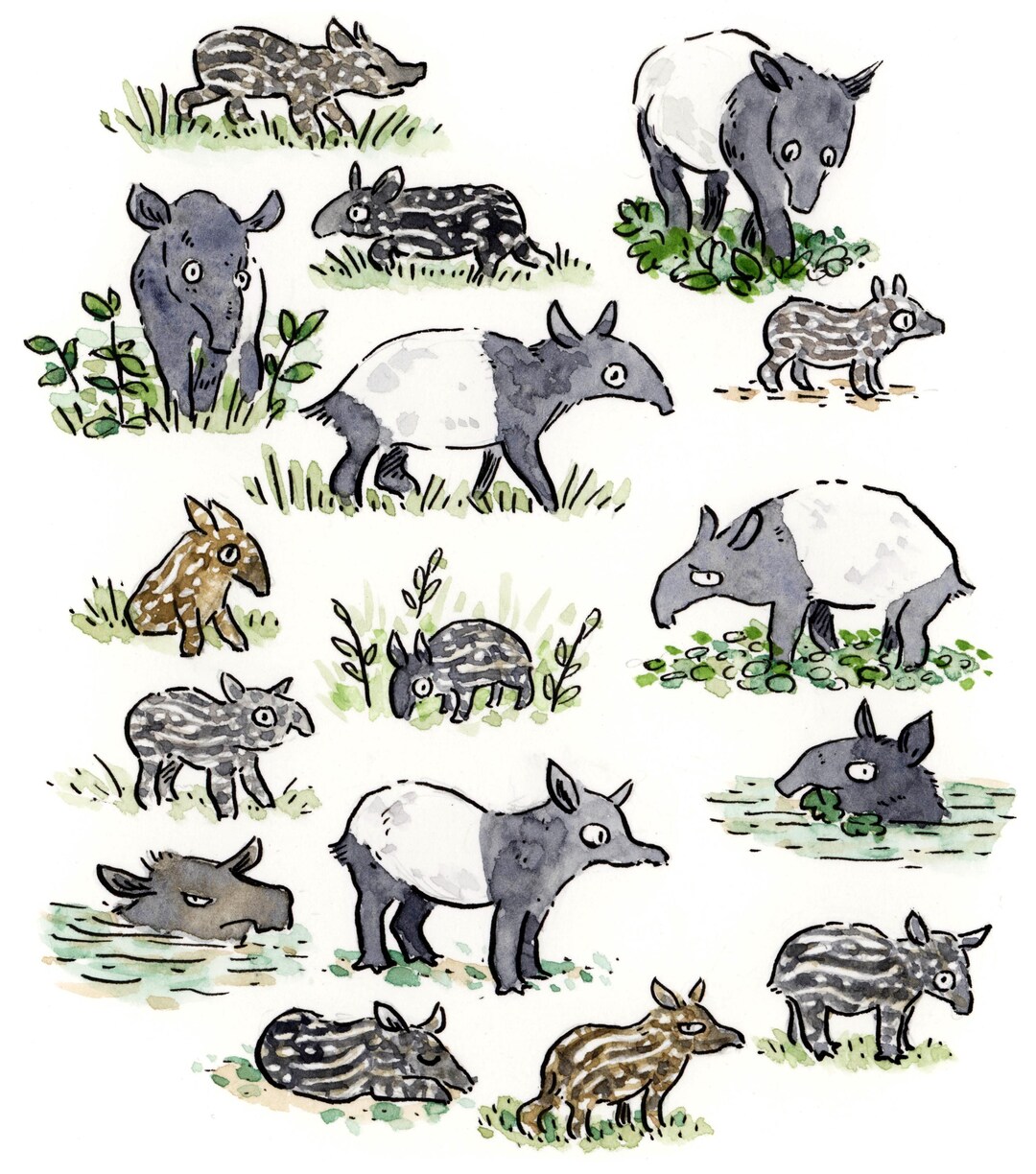 Tapir Family Portrait Print - Etsy