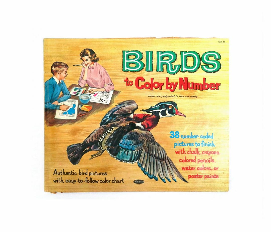 1960s Vintage Birds to Color by Number Coloring Book / Whitman - Etsy