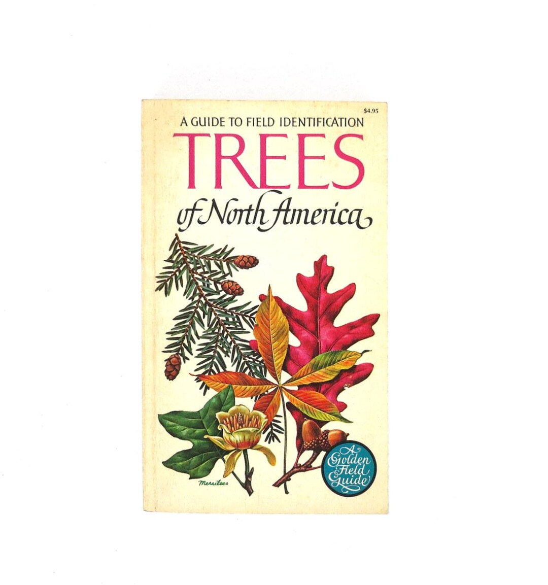 A Guide to Field Identification : Trees of North America / Vintage 1968 ...