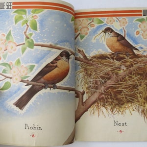 1930s Vintage We See by George Willard Frasier & Helen Dolman How and ...