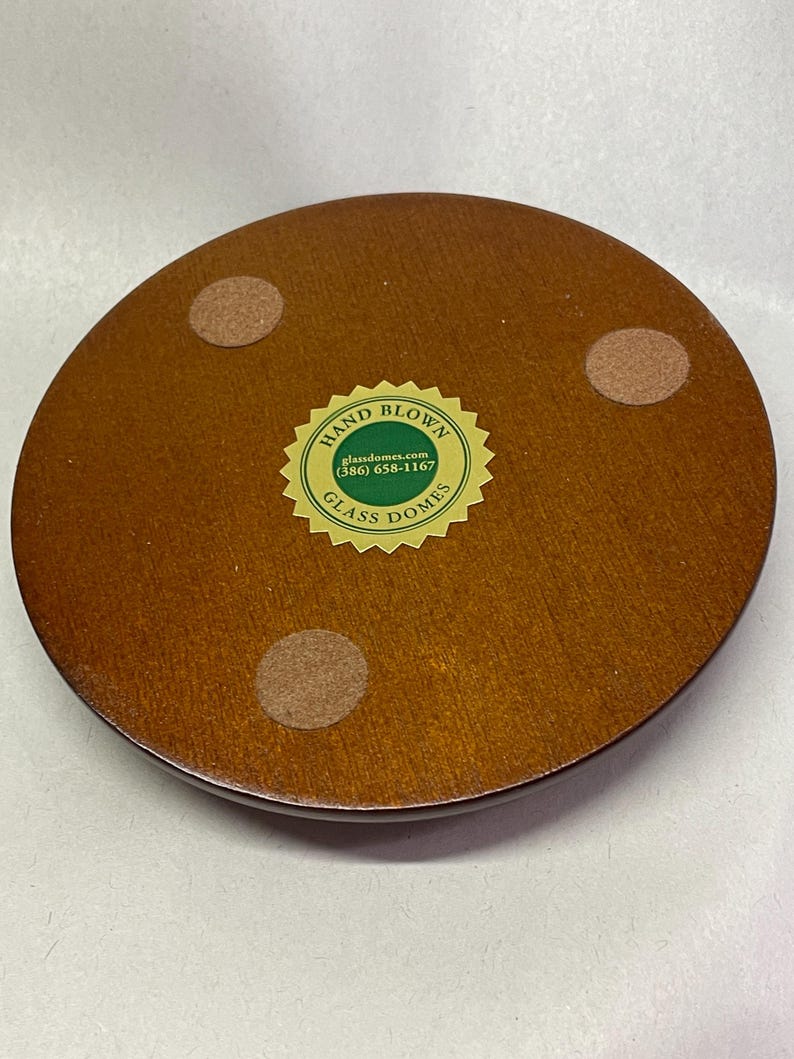 Pocket Watch Dome 3 X 4" Glass Dome With Brass Knob and Reddish Walnut ...