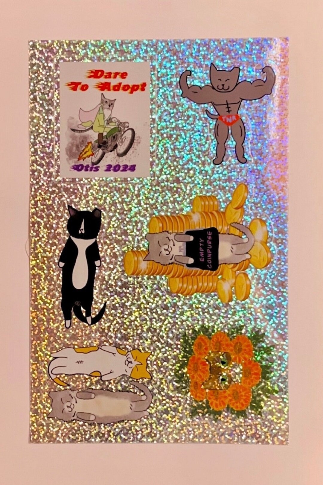 Trap Neuter Return (TNR) Vinyl Sticker Sheet - Etsy