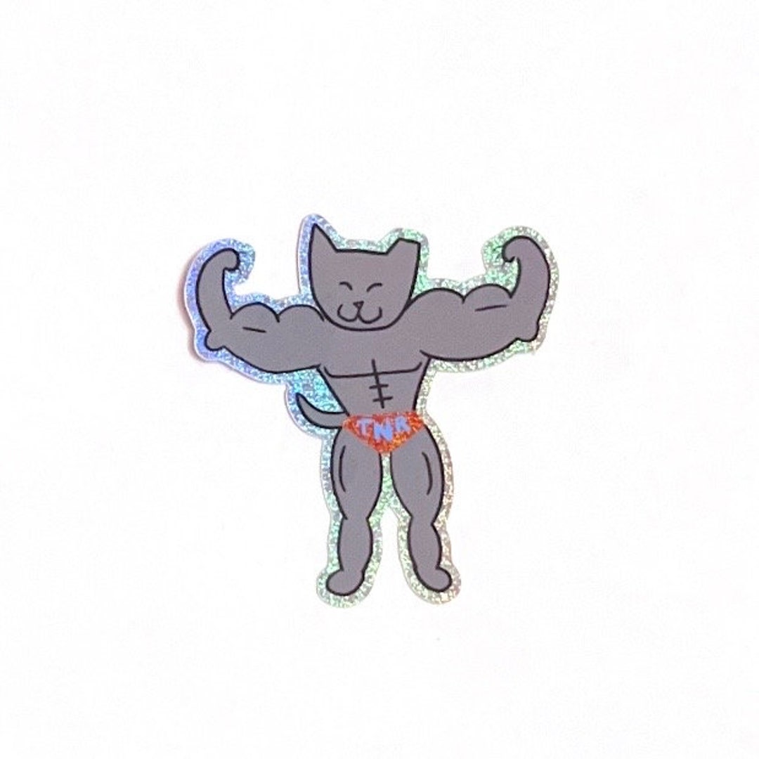 Muscle Cat - Trap Neuter Return (TNR) Power Vinyl Sticker - Etsy
