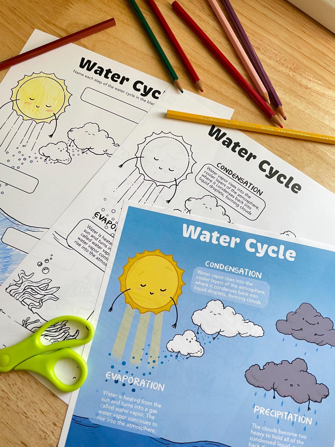 The Water Cycle - Educational Poster - Coloring Activity - Homeschool ...