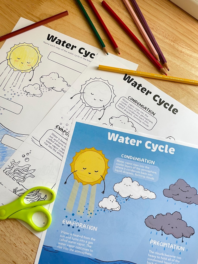 The Water Cycle - Educational Poster - Coloring Activity - Homeschool ...