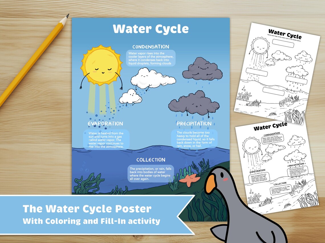 The Water Cycle - Educational Poster - Coloring Activity - Homeschool ...
