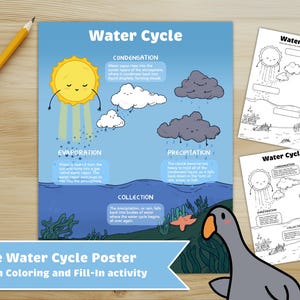 The Water Cycle - Educational Poster - Coloring Activity - Homeschool ...