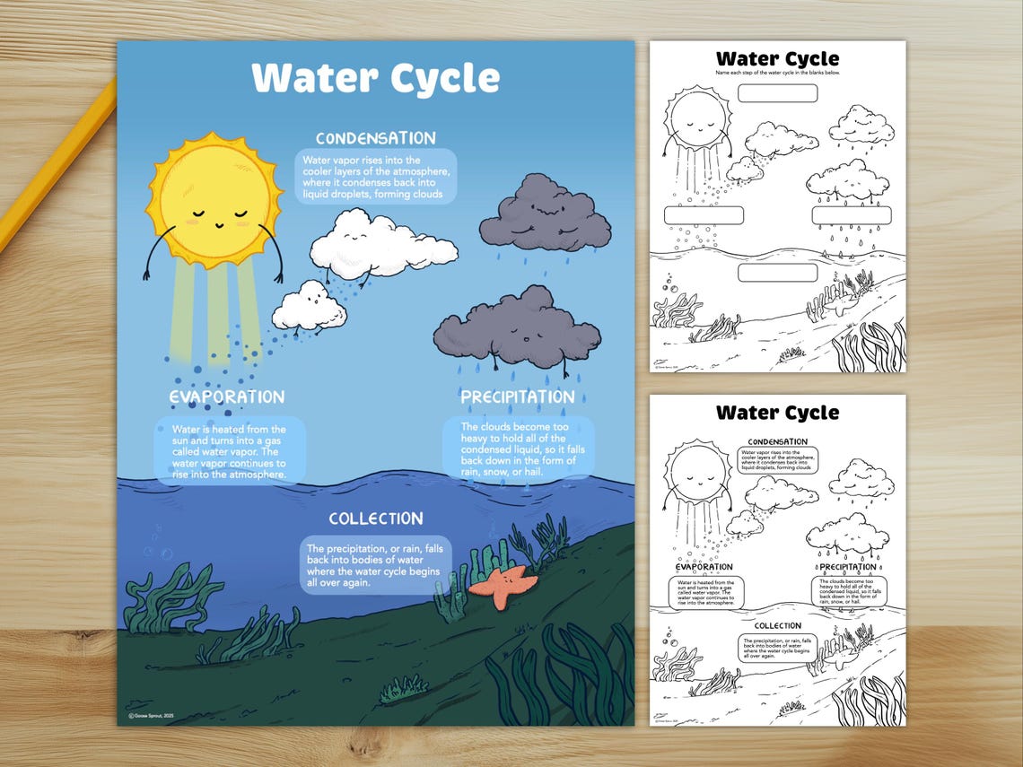The Water Cycle - Educational Poster - Coloring Activity - Homeschool ...