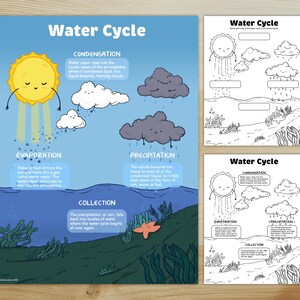 The Water Cycle - Educational Poster - Coloring Activity - Homeschool ...