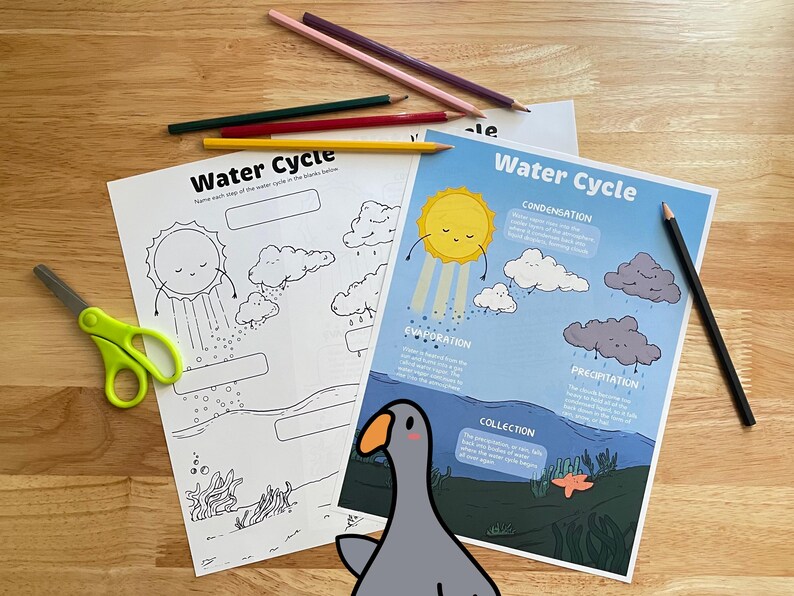 The Water Cycle - Educational Poster - Coloring Activity - Homeschool ...