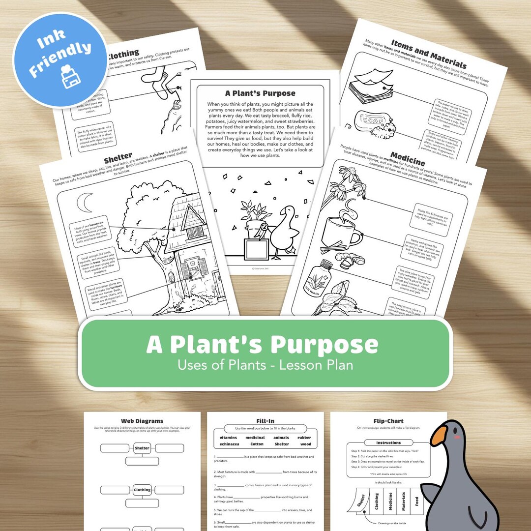 Plants/biology Lesson Plan - Uses of Plants - Kids Science Activities ...