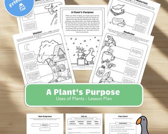 Plants/biology Lesson Plan - Uses of Plants - Kids Science Activities ...