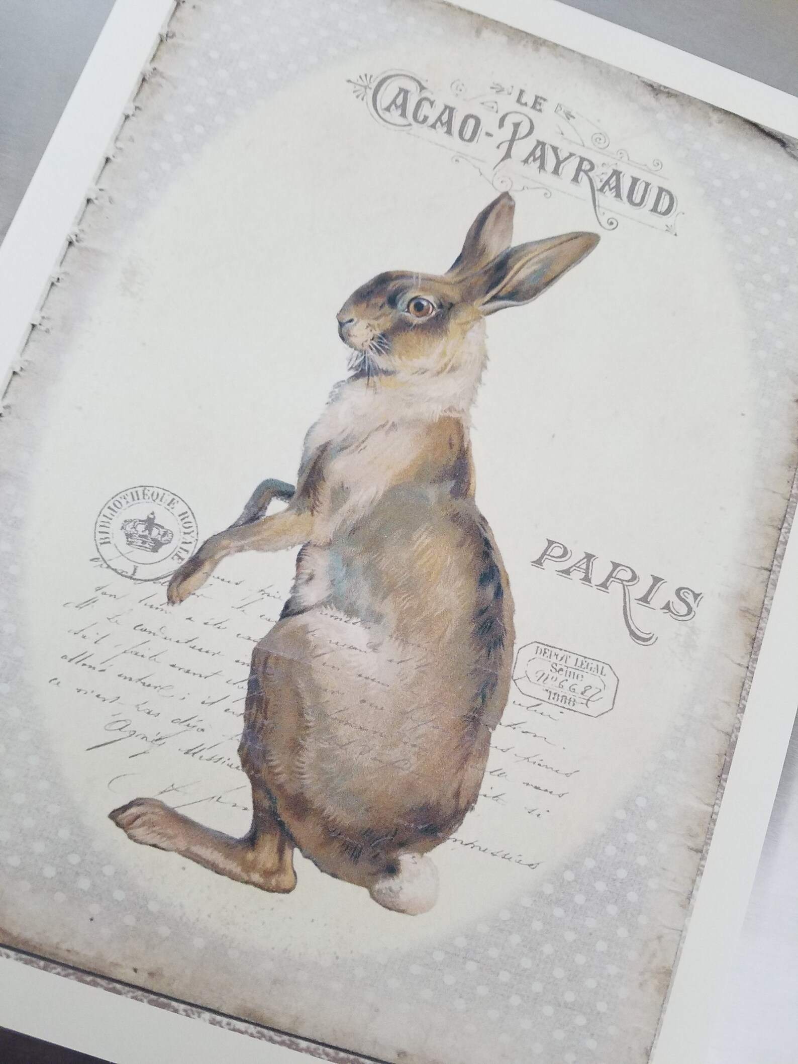 Rabbit Fabric Panel French Country Quilt Square Cotton - Etsy