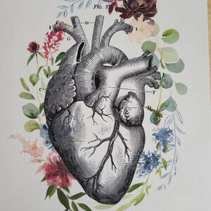 Human Heart Quilt Panel: Kona Cotton, Physician Wall Art, Anatomy ...