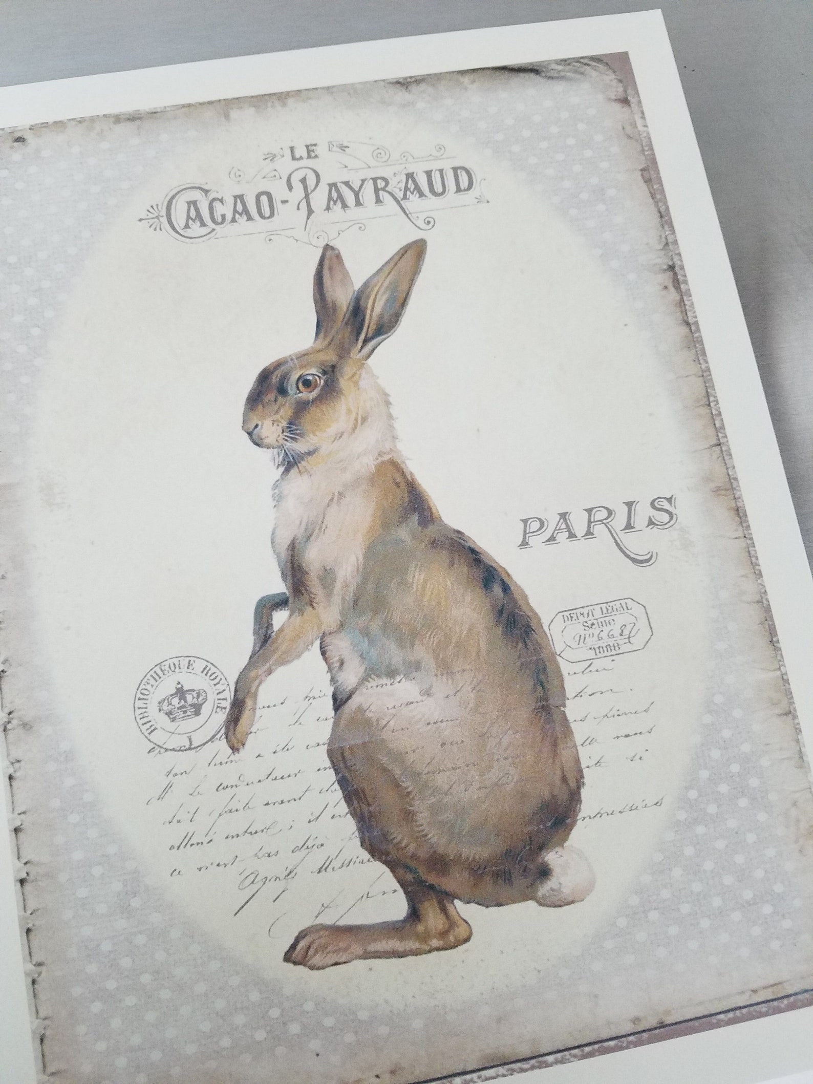 Rabbit Fabric Panel French Country Quilt Square Cotton - Etsy