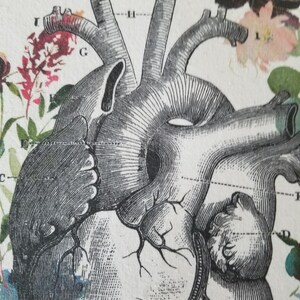 Human Heart Quilt Panel Physician Wall Art Cotton Muslin Anatomy Fabric ...