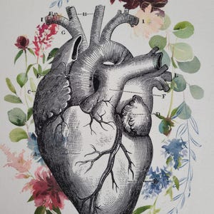 Human Heart Quilt Panel Physician Wall Art Cotton Muslin Anatomy Fabric ...