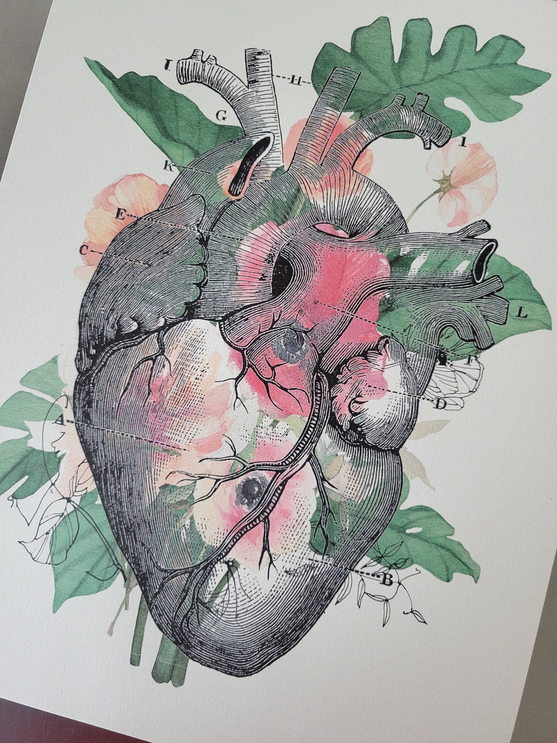 Cardiologist Heart Panel Human Heart Material Cotton Muslin - Etsy