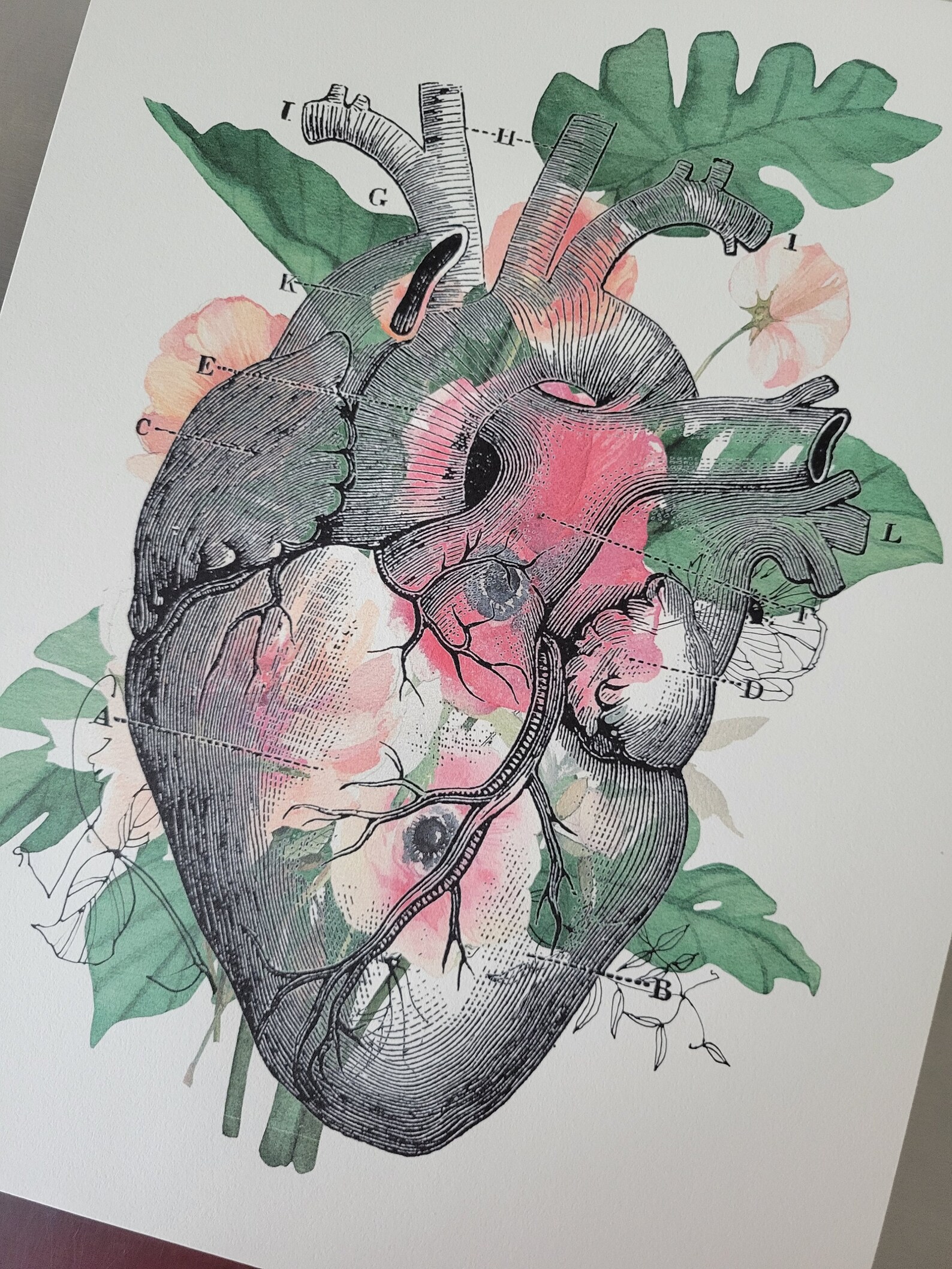 Cardiologist Heart Panel Human Heart Material Cotton Muslin - Etsy