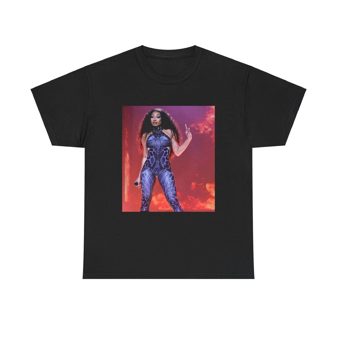 Megan Thee Stallion Trendy Unisex Tee, Megan Thee Stallion Merch, Hip ...