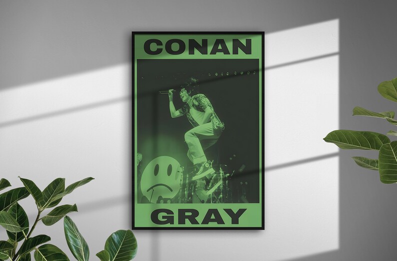 Conan Gray Poster Artist Poster Room Decor Wall Decor Music Decor ...