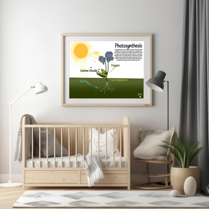 Printable Photosynthesis Diagram | Digital Educational Download | Kids ...