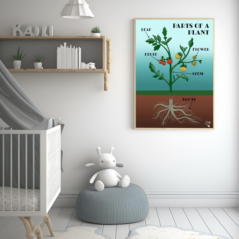 Printable Plant Structure Diagram | Educational Plant Anatomy Digital ...