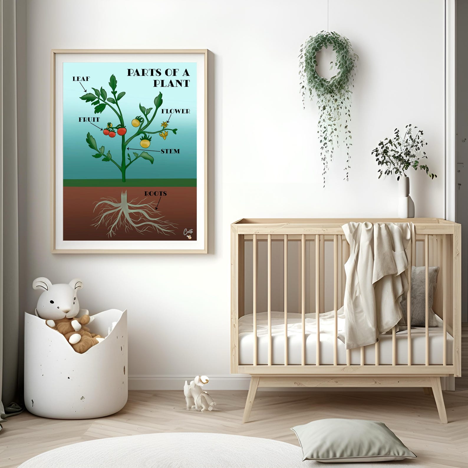 Printable Plant Structure Diagram | Educational Plant Anatomy Digital ...