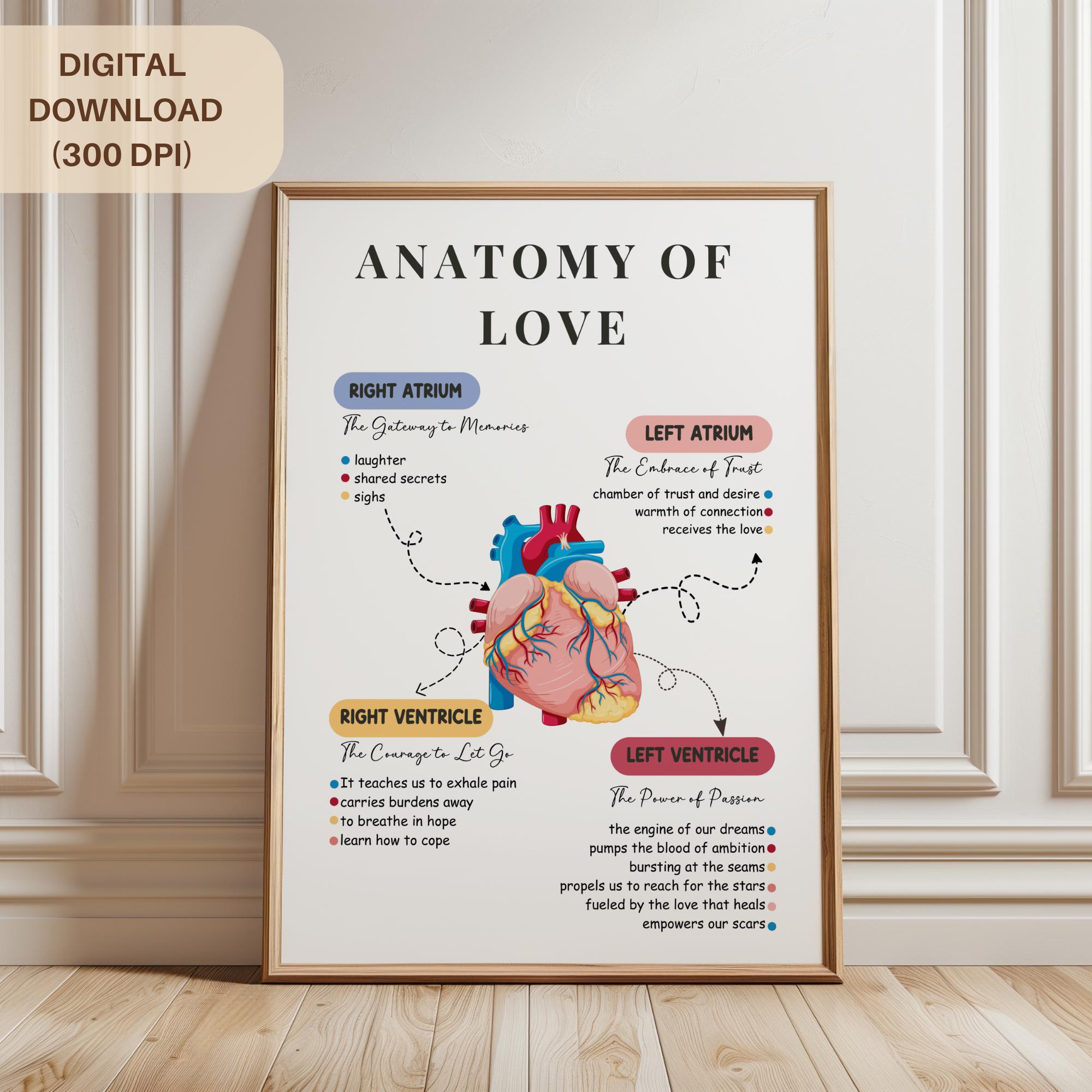 Human Heart Print, Heart Anatomy Poster, Cardiovascular System Wall Art ...
