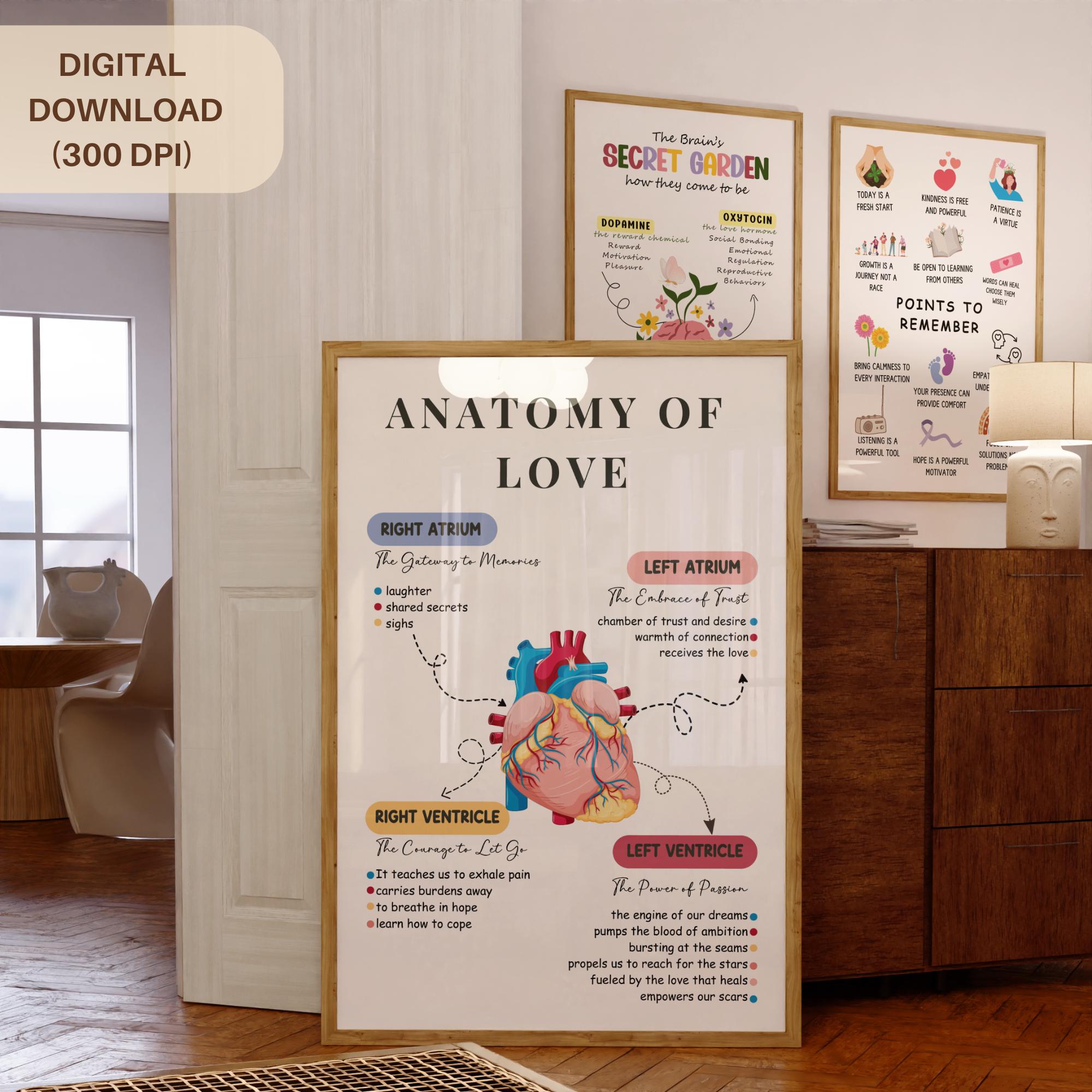 Human Heart Print, Heart Anatomy Poster, Cardiovascular System Wall Art ...