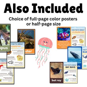 Ocean Animals Song - Fun About Marine Life With MP3 Recording, Google ...