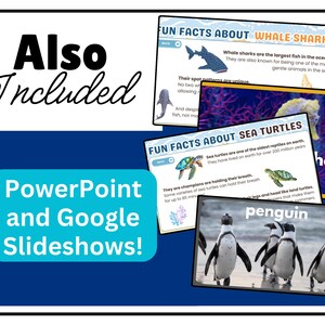 Ocean Animals Song - Fun About Marine Life With MP3 Recording, Google ...