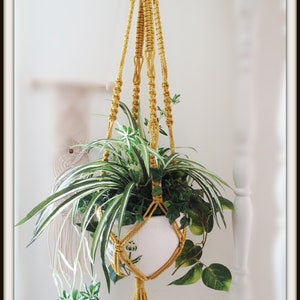 Indoor House Planter Floating Plant Holder Outdoor Plant | Etsy