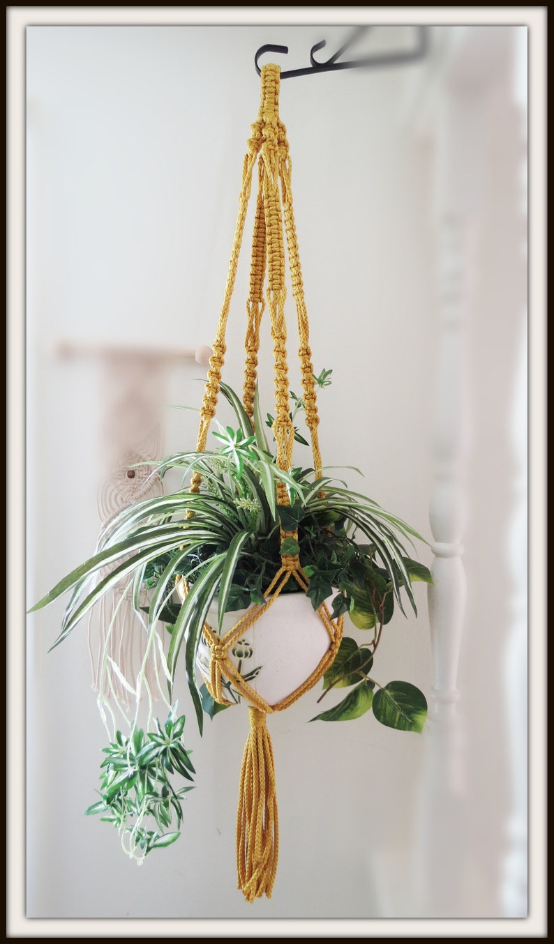 Indoor House Planter Floating Plant Holder Outdoor Plant - Etsy