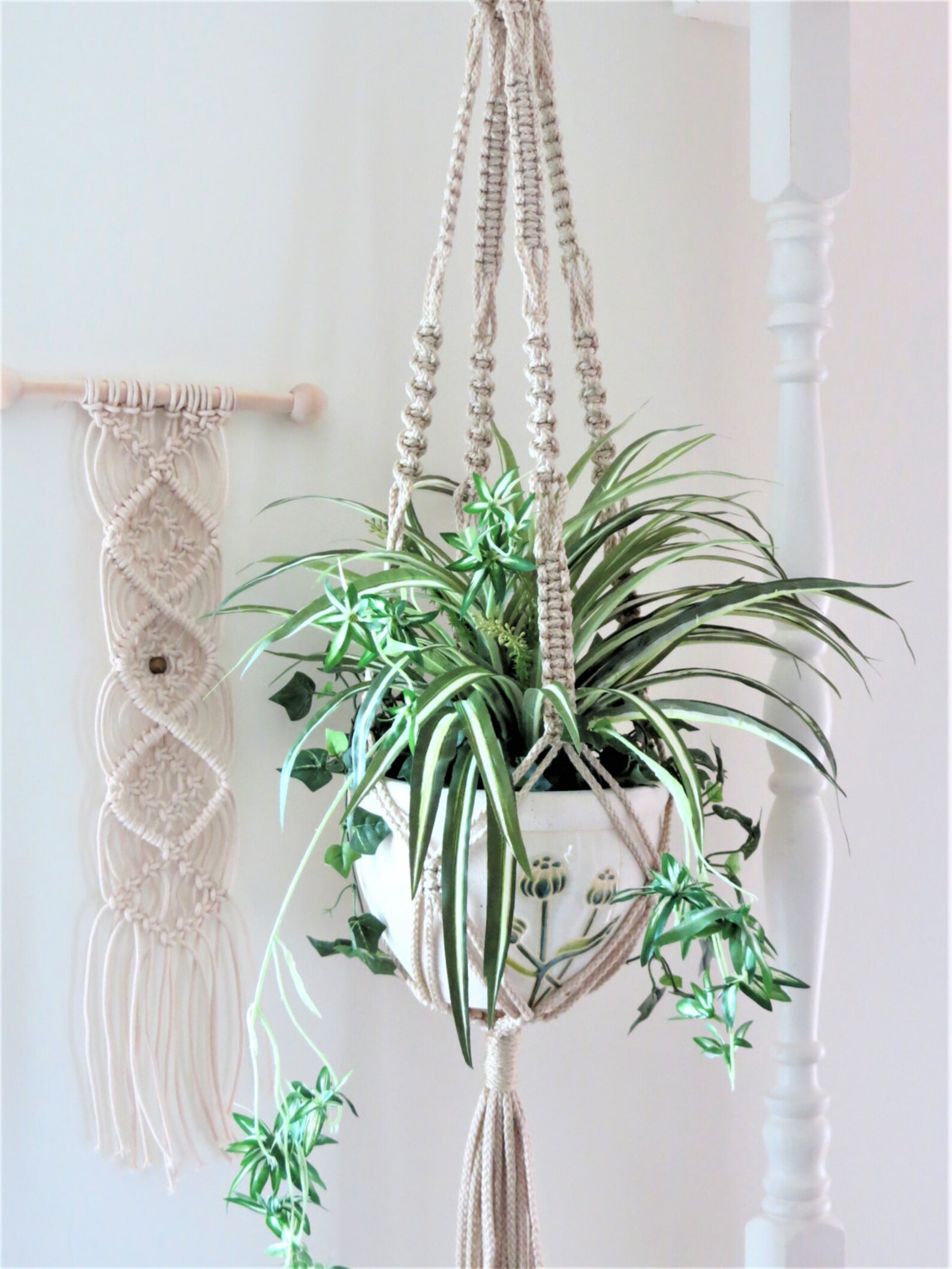 Indoor House Planter Floating Plant Holder Outdoor Plant - Etsy