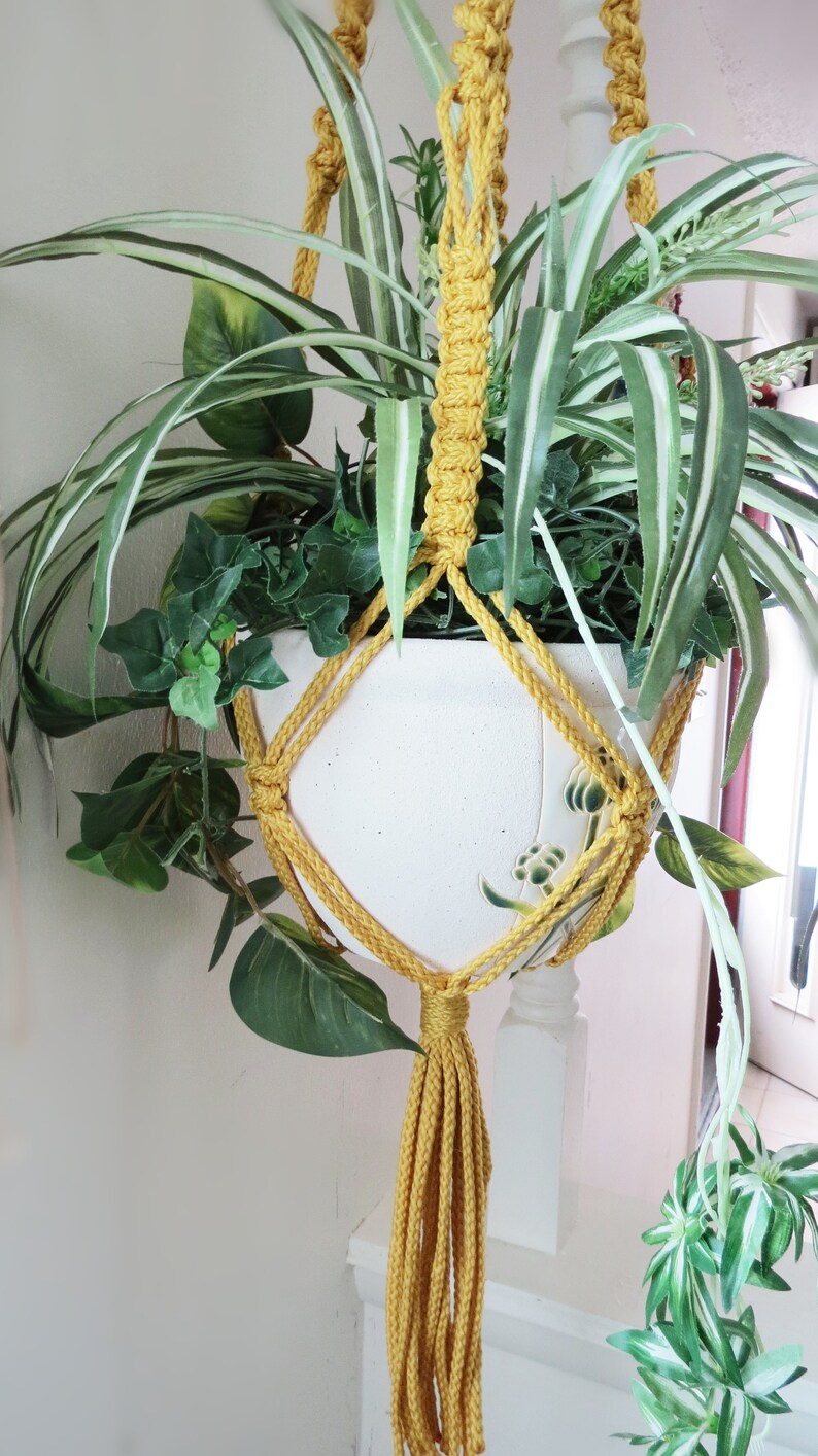 Indoor House Planter Floating Plant Holder Outdoor Plant - Etsy