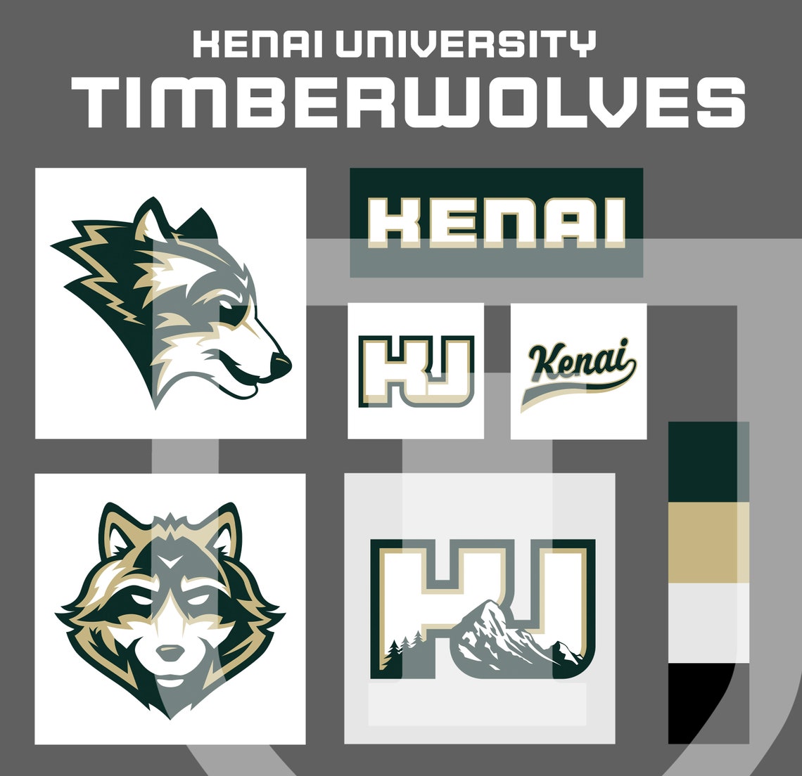 Custom Teambuilder Logo + Uniform Design for College Football 25 - Etsy