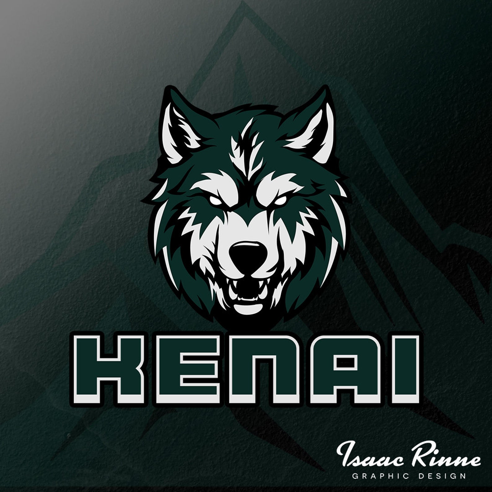 Custom Teambuilder Logo for College Football 25 - Etsy