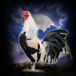 Gamefowl 5 Digital Rooster PNG Files | Sabong Collectables Gamefowl SVG ...