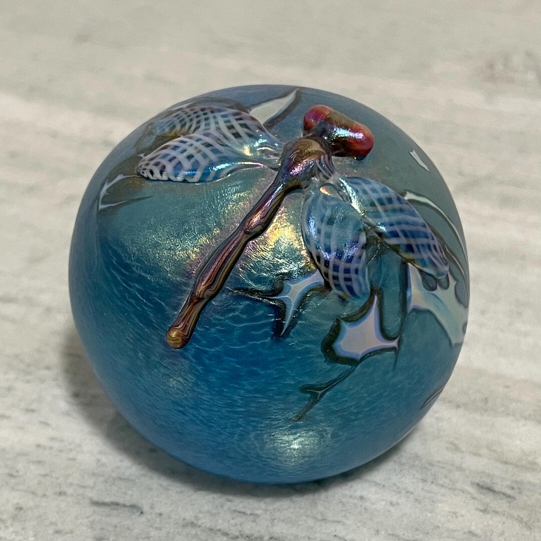 Iridescent Dragonfly Glass Paperweight Peet Robinson 1992 - Etsy