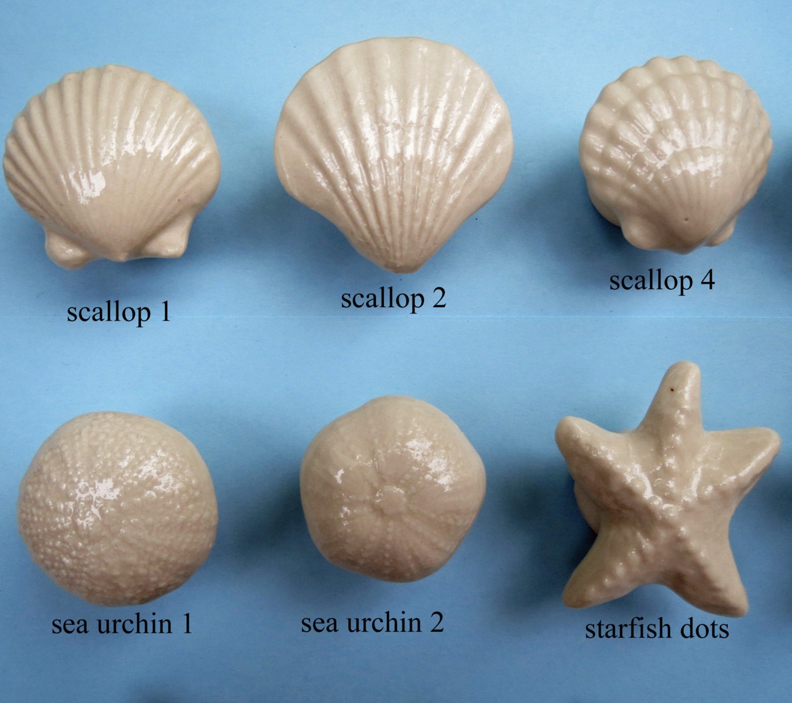 12 Porcelain Sea Shell Knobs Select Any Style Created by - Etsy