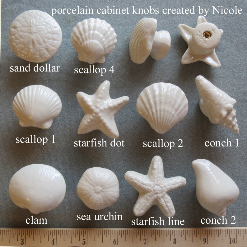 12 Porcelain Sea Shell Knobs, Select Any Style, Created by Nicole, Get 1 Free - Etsy
