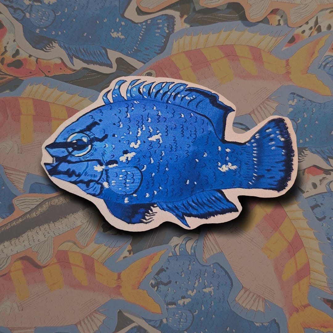 Fish Bundle - Etsy