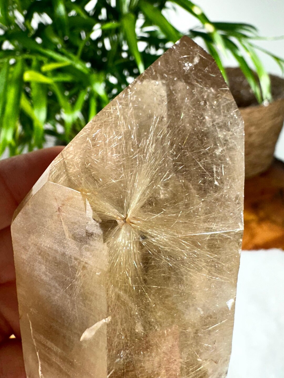Natural Golden Rutile Point | 185g - Etsy