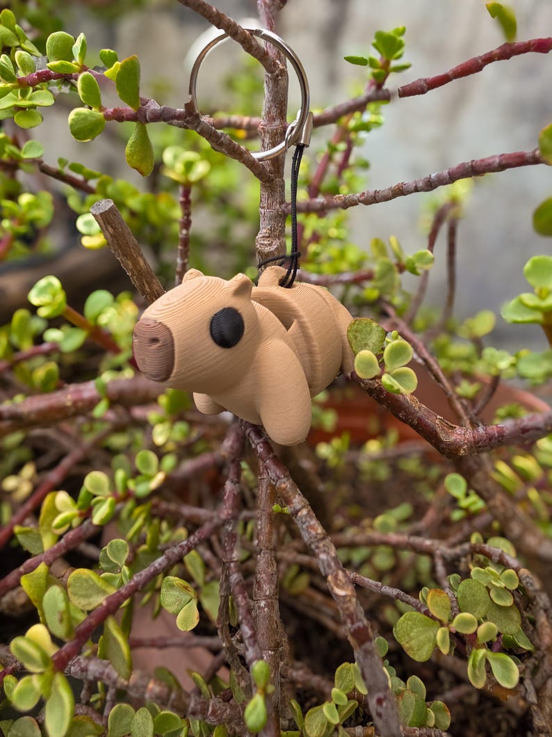 Capybara Keychain – 3D Printed Animal Charm | Cute Capybara Gift - Etsy